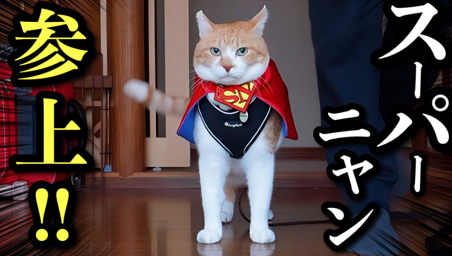 Chacha: The Inspiring Journey of a Japanese Cat - The Power Knowledge
